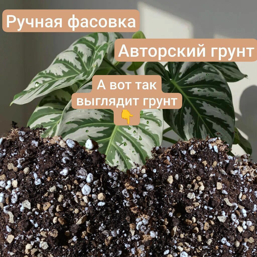 Грунт для Хлорофитумов Универсальный, 2 литра — фото 1