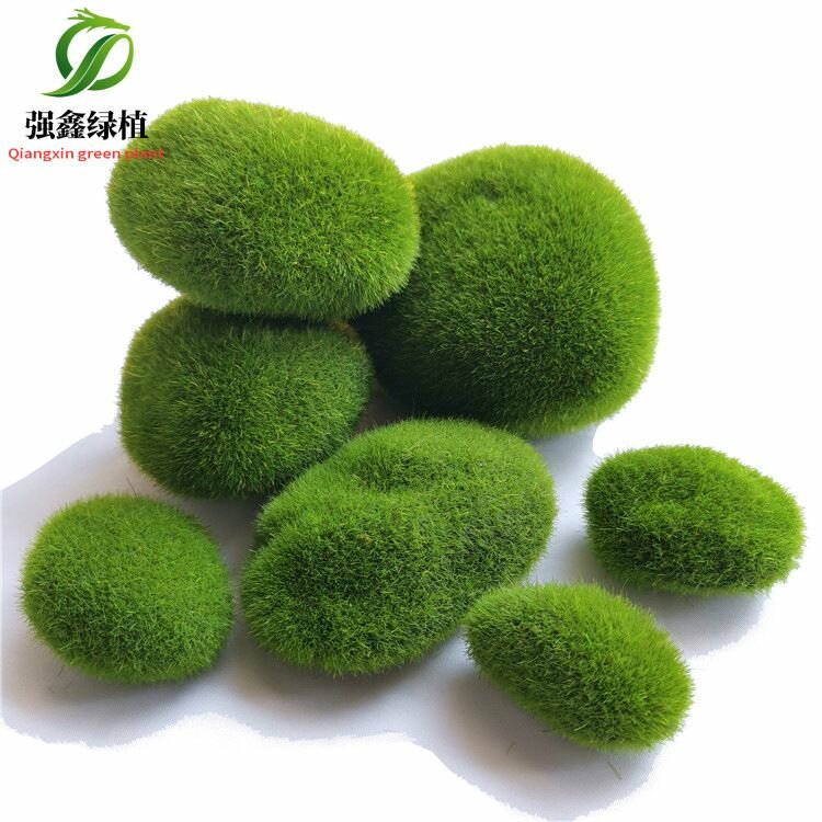 Эксклюзивный мох стабилизированный