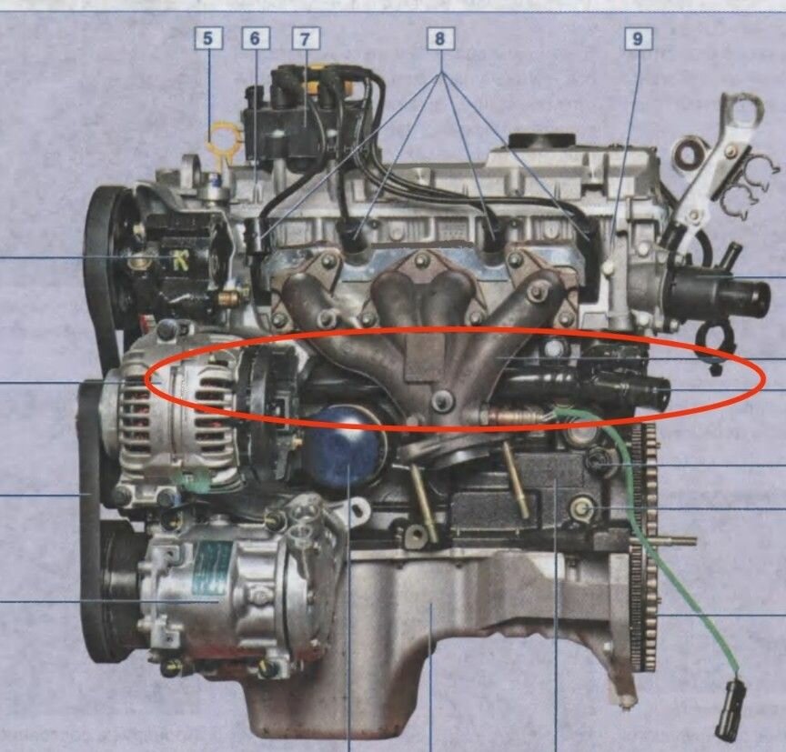 Кольцо уплотнительное патрубка помпы для LADA, RENAULT 7703065311 — фото 1