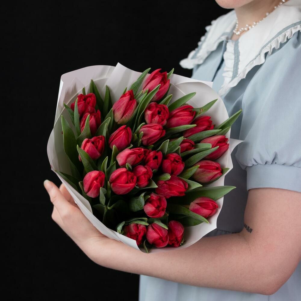 Живые цветы букет из 25 красных тюльпанов в подарочной упаковке