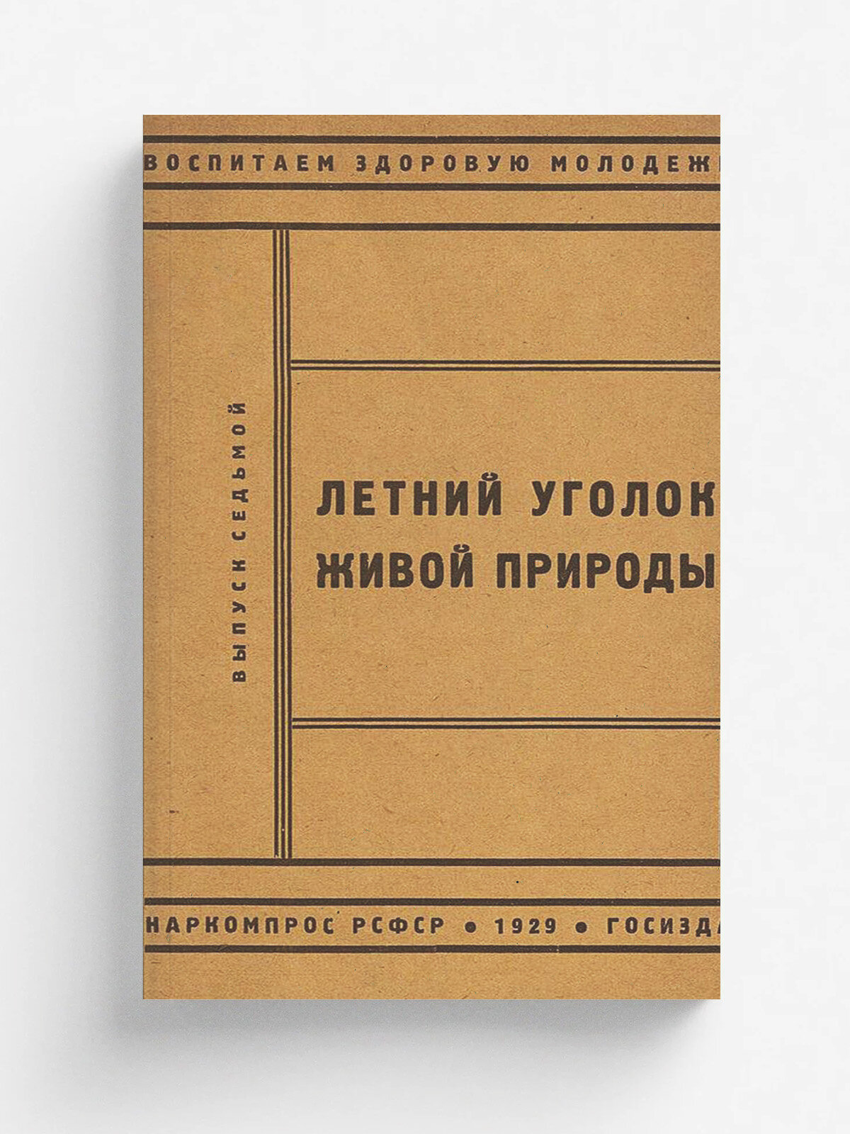 Летний уголок живой природы