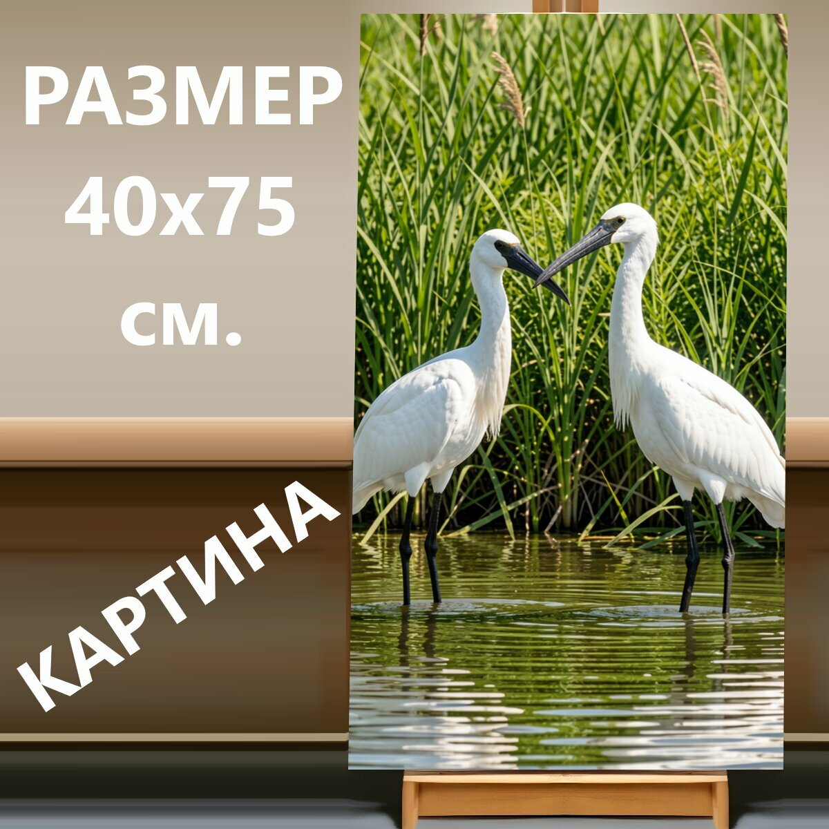 Картина на холсте "Две белые цапли с длинными черными ногами и острыми клювами стоят в мелкой воде на фоне густой зеленой травы и камышей." на подрамнике 75х40 см. для интерьера