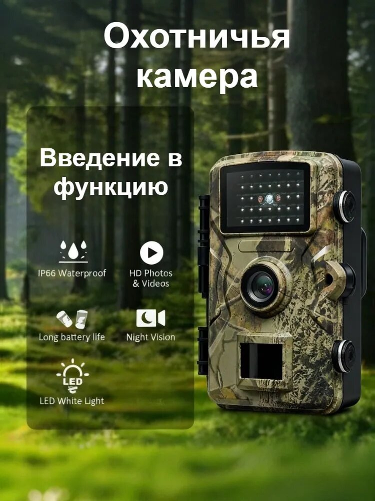 Фотоловушка