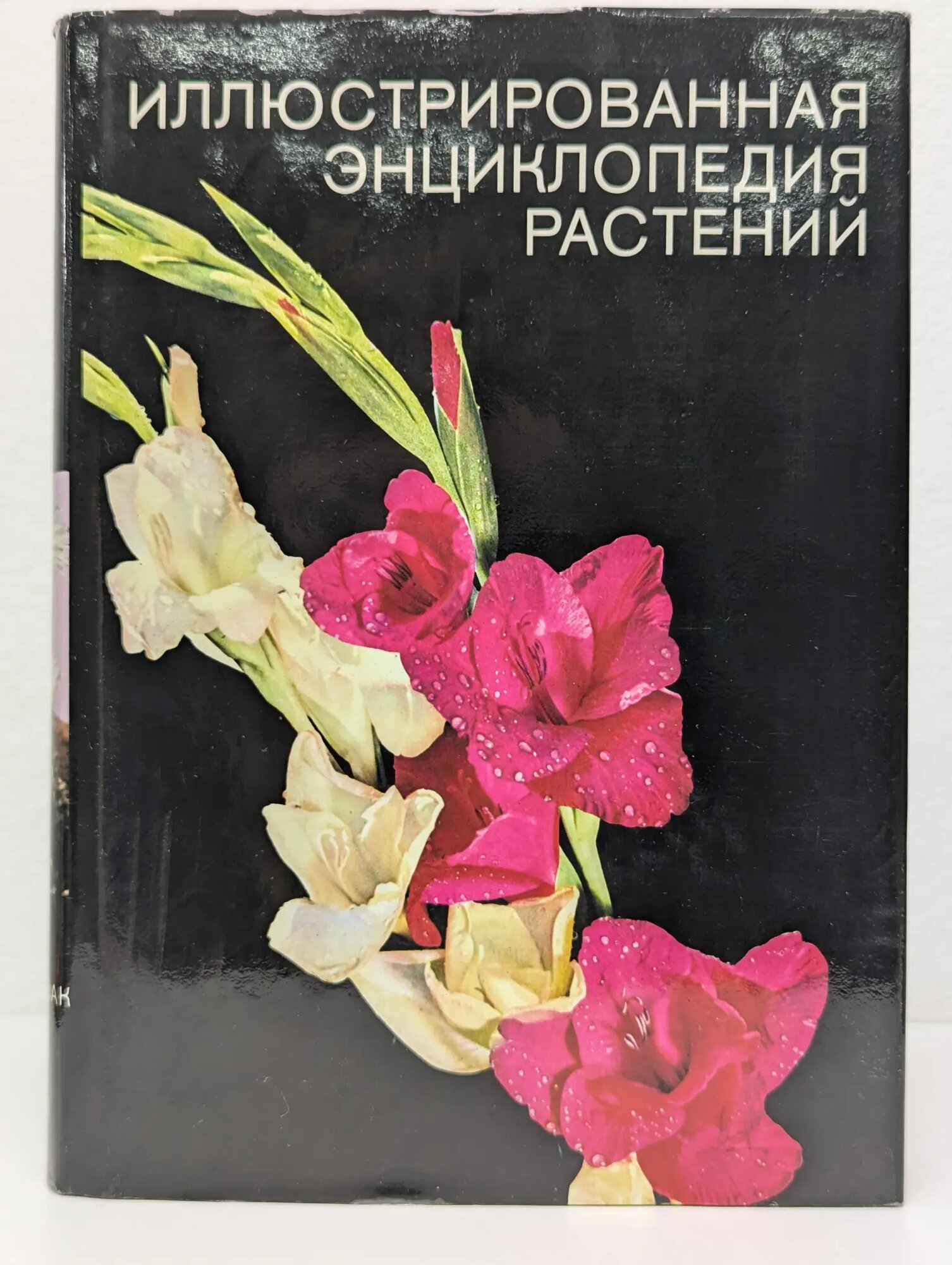 Иллюстрированная энциклопедия растений Новак Федор Алексеевич 1985