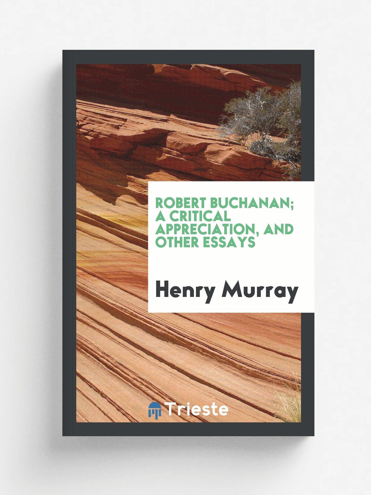 Robert Buchanan; a critical appreciation, and other essays