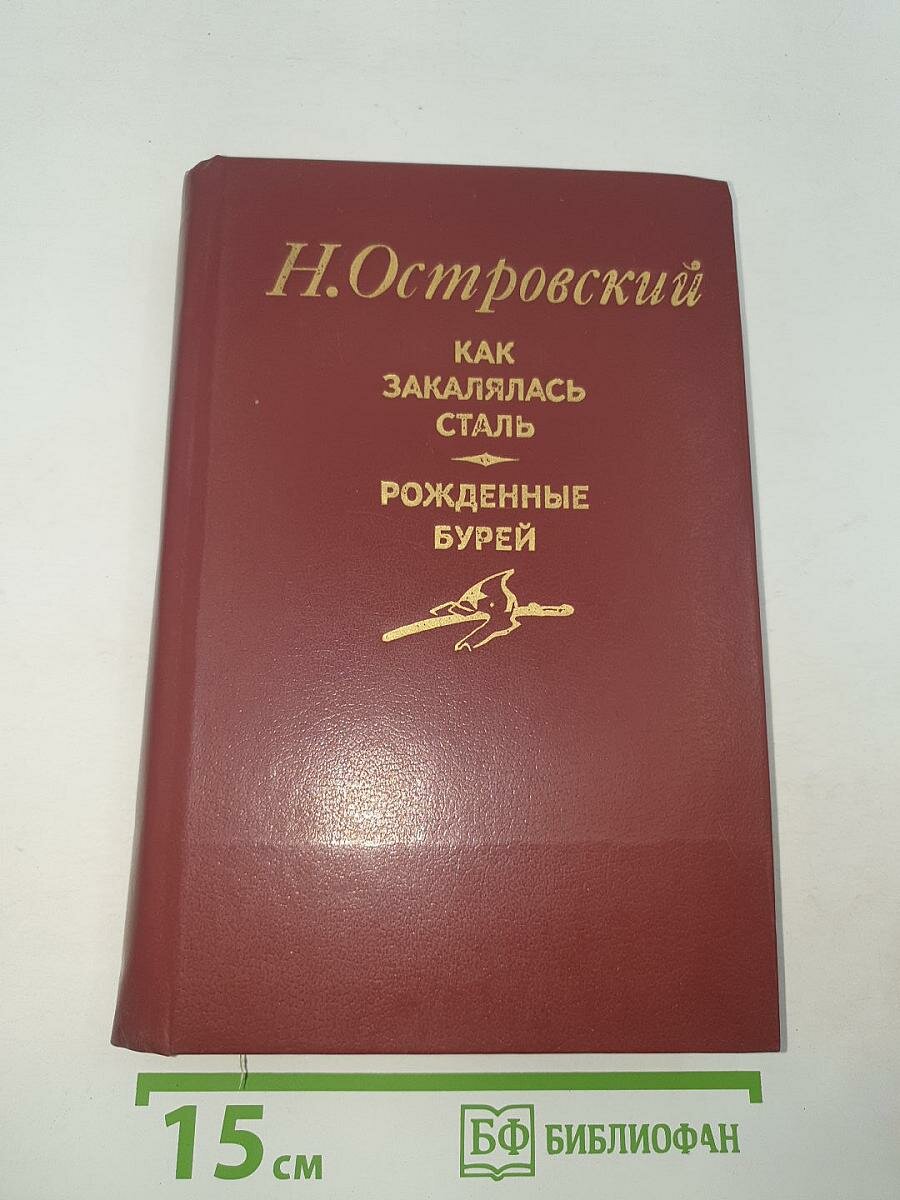 Как закалялась сталь. Рожденные бурей