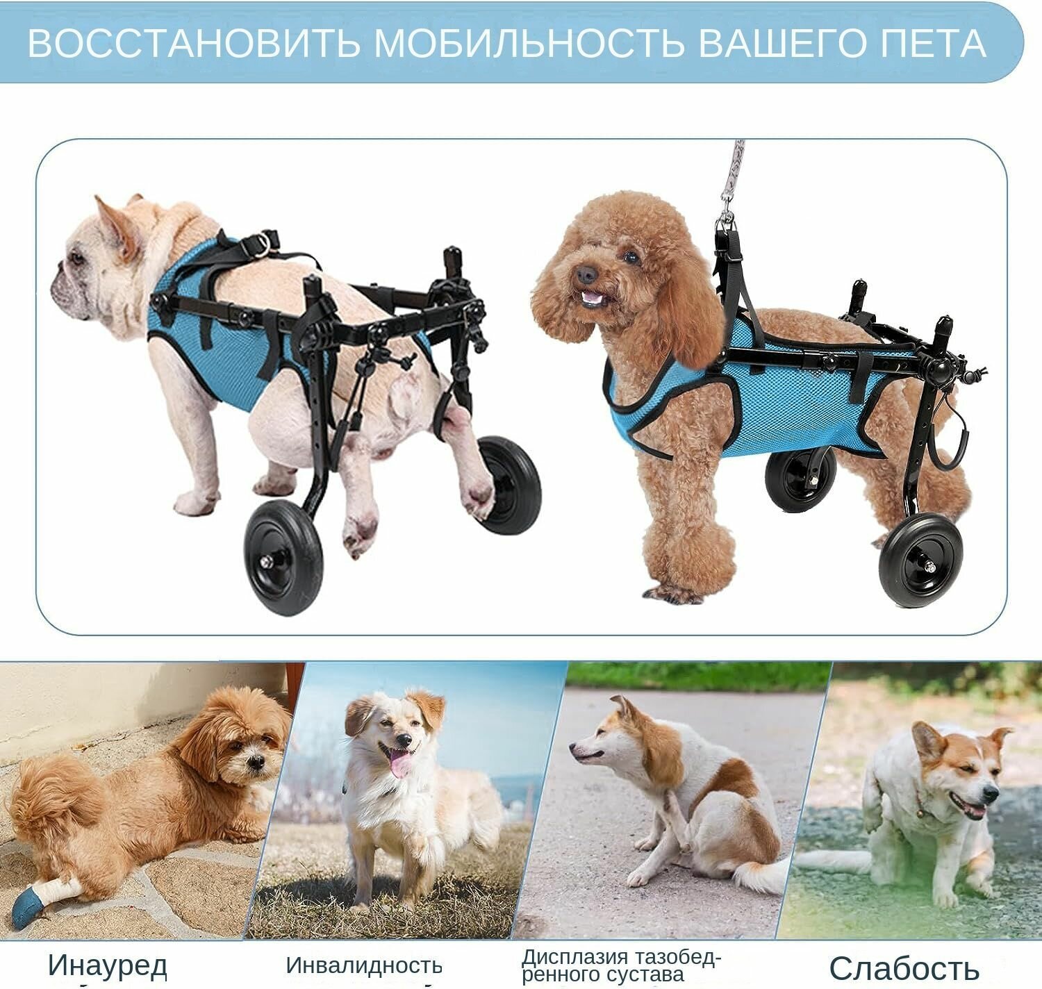 Инвалидная коляска для собак, Подходит для кошек Ходунки для собак, товары для животных-инвалидов Подходит для средних и маленьких пород, X S