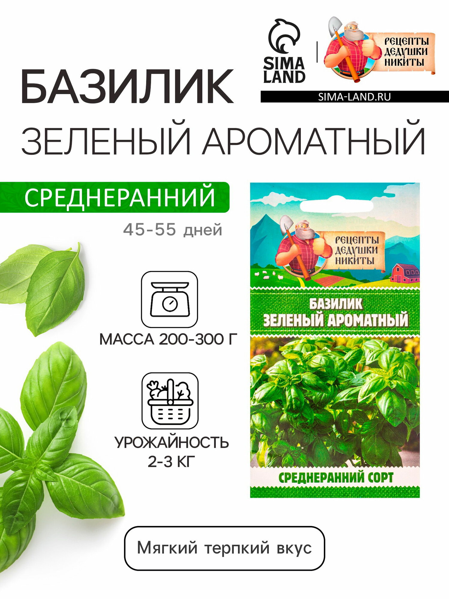 Семена Базилик "Зелёный ароматный", 0.1 г, среднеранний, посев (посадка) в грунт: август