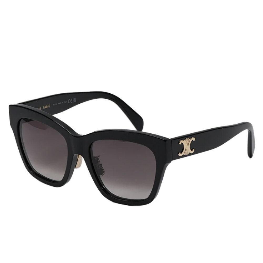 CELINE Eyewear Triomphe Cat Eye Sunglasses 55