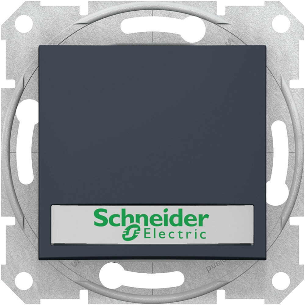 Кнопочный выключатель Schneider Electric Sedna графит с надписью подсветкой SDN1600370