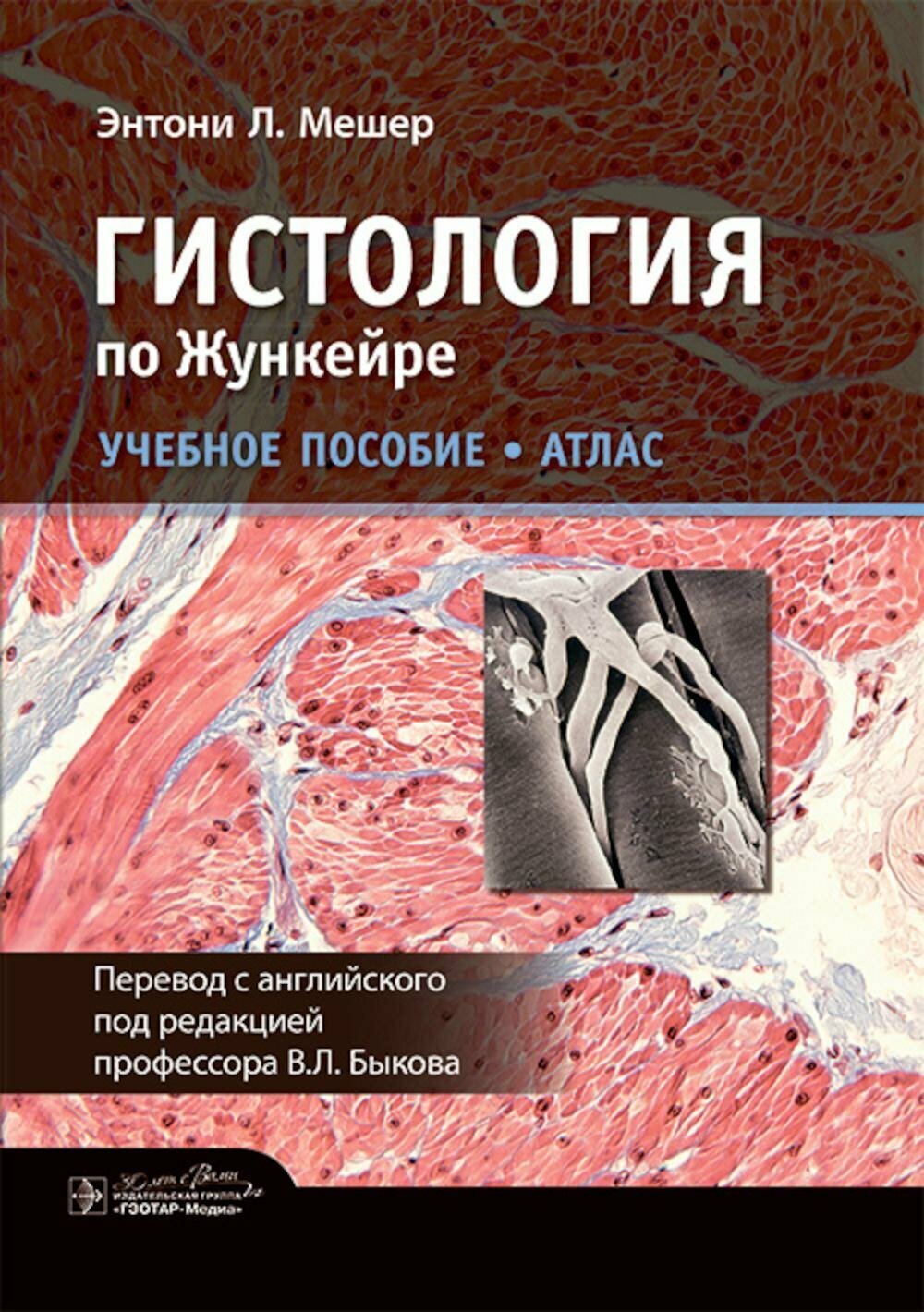 Гистология по Жункейре. Учебное пособие. Атлас. Мешер Э. Л. Гэотар-медиа