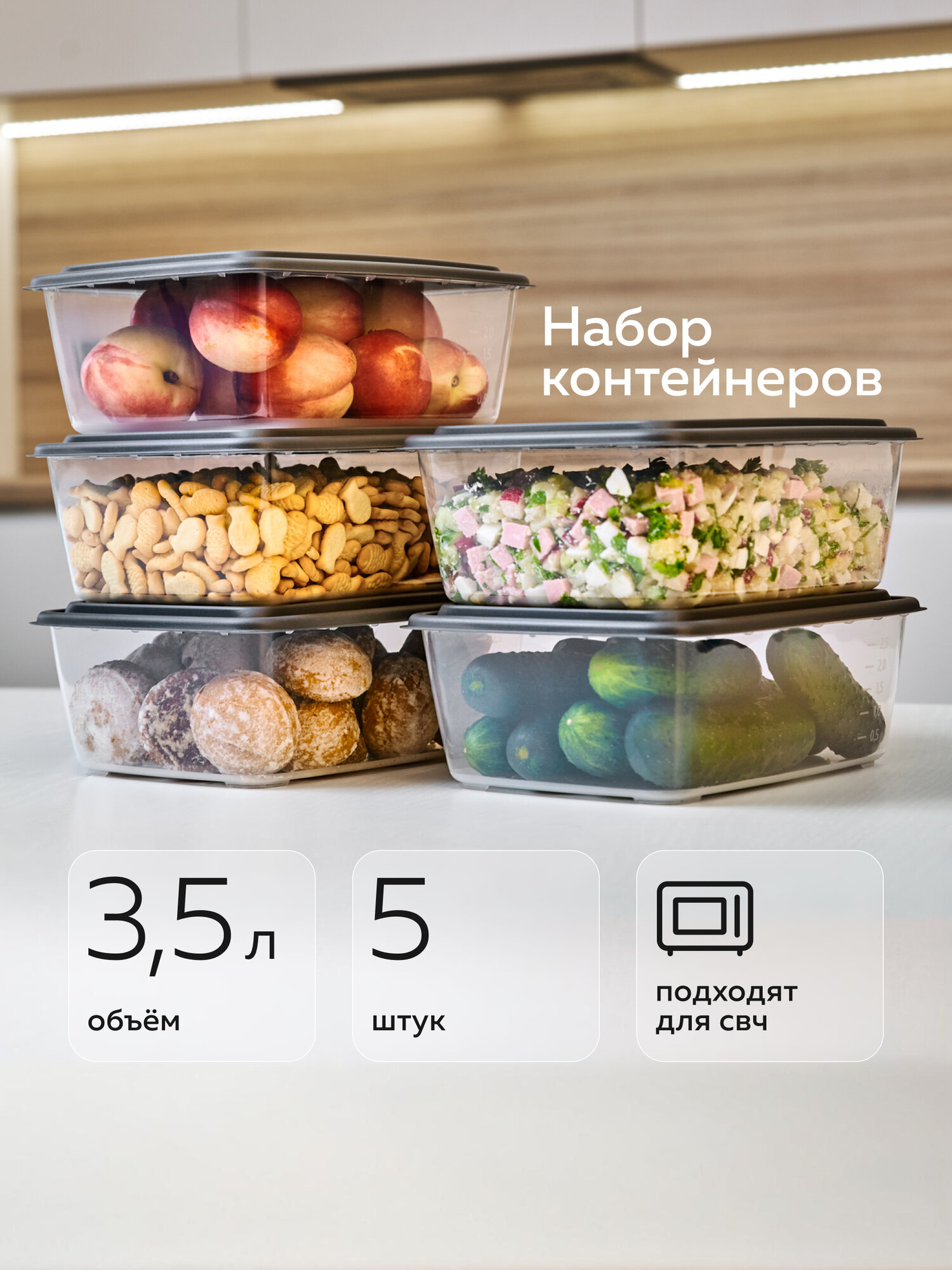 Набор контейнеров «Гурман», Альт-Пласт, графит, 3,5лх5 (5шт)