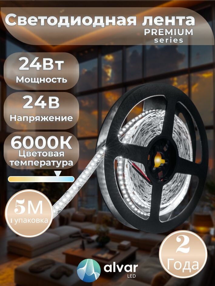 PREMIUM 24В 24Вт 6000К холодная, IP20, 3014 240 LED светодиодная лента (в упаковке 5 метров)