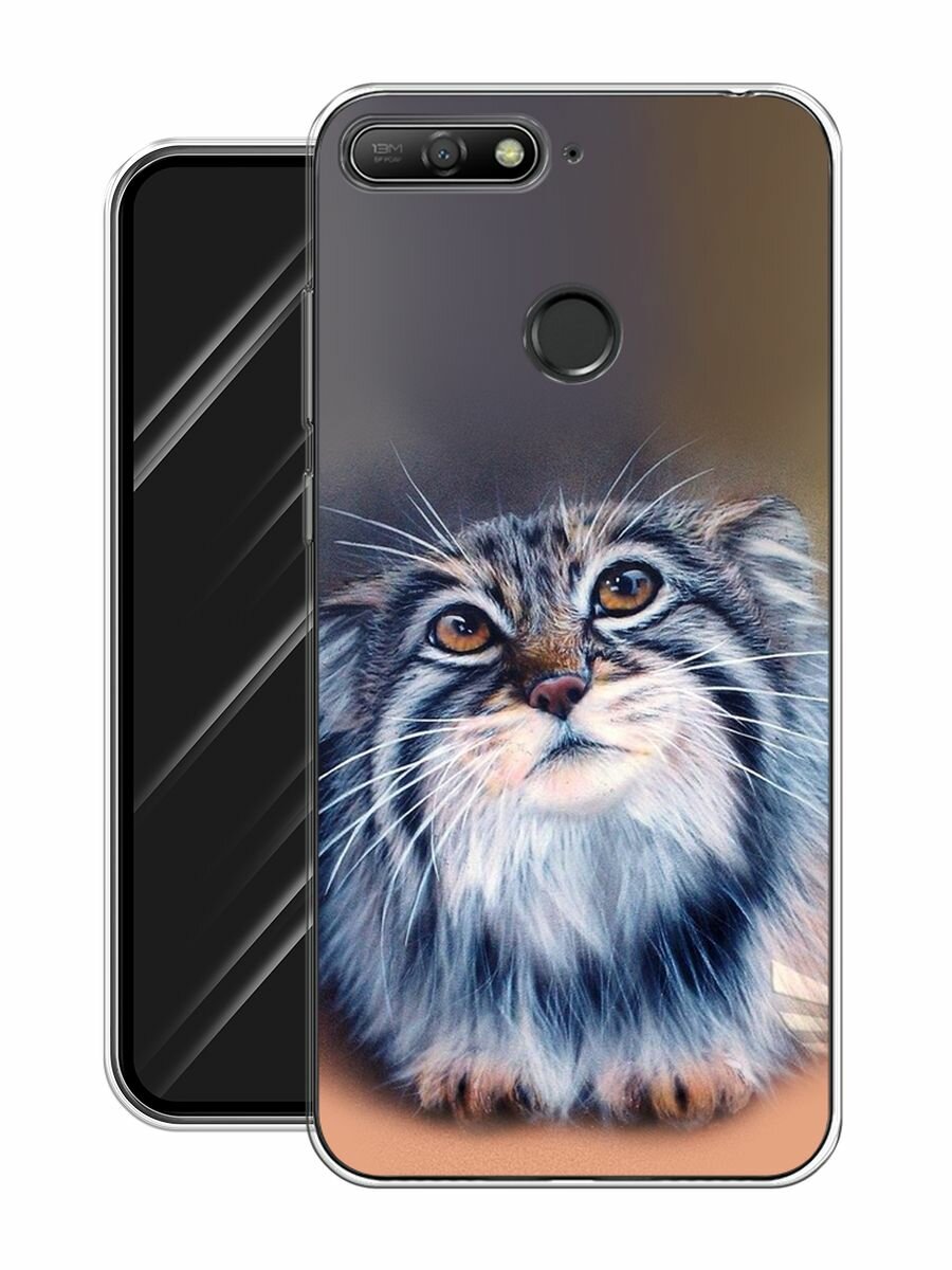 Чехол на Honor 7C/7A Pro/Huawei Y6 Prime 2018 / Хонор 7С/7А Про/Хуавей Y6 Prime 2018 с принтом "Кот манул 2" — фото 1