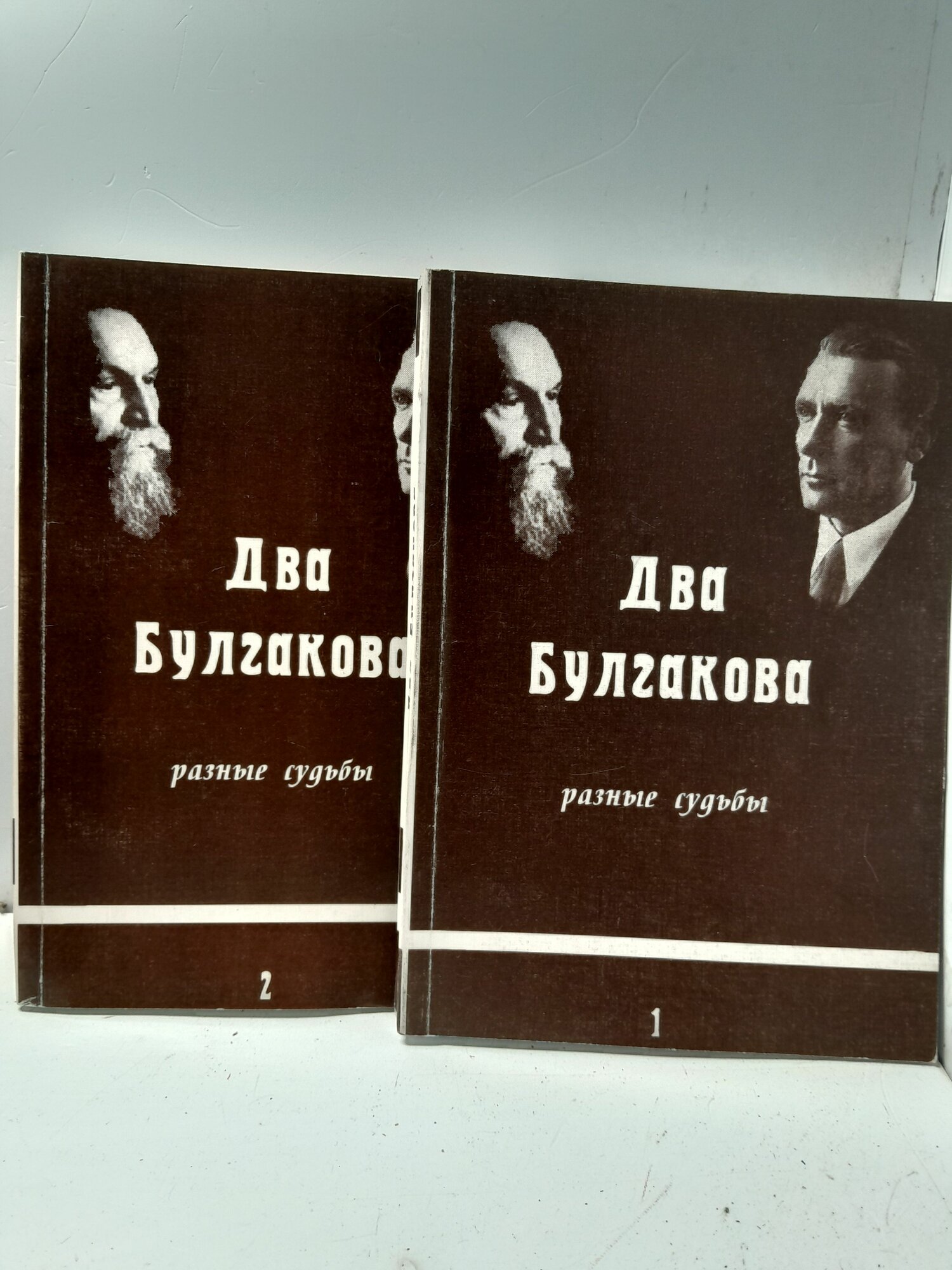Два Булгакова. Разные судьбы. В 2-х книгах. Книга 1. Сергей Николаевич. Книга 2. Михаил Афанасьевич