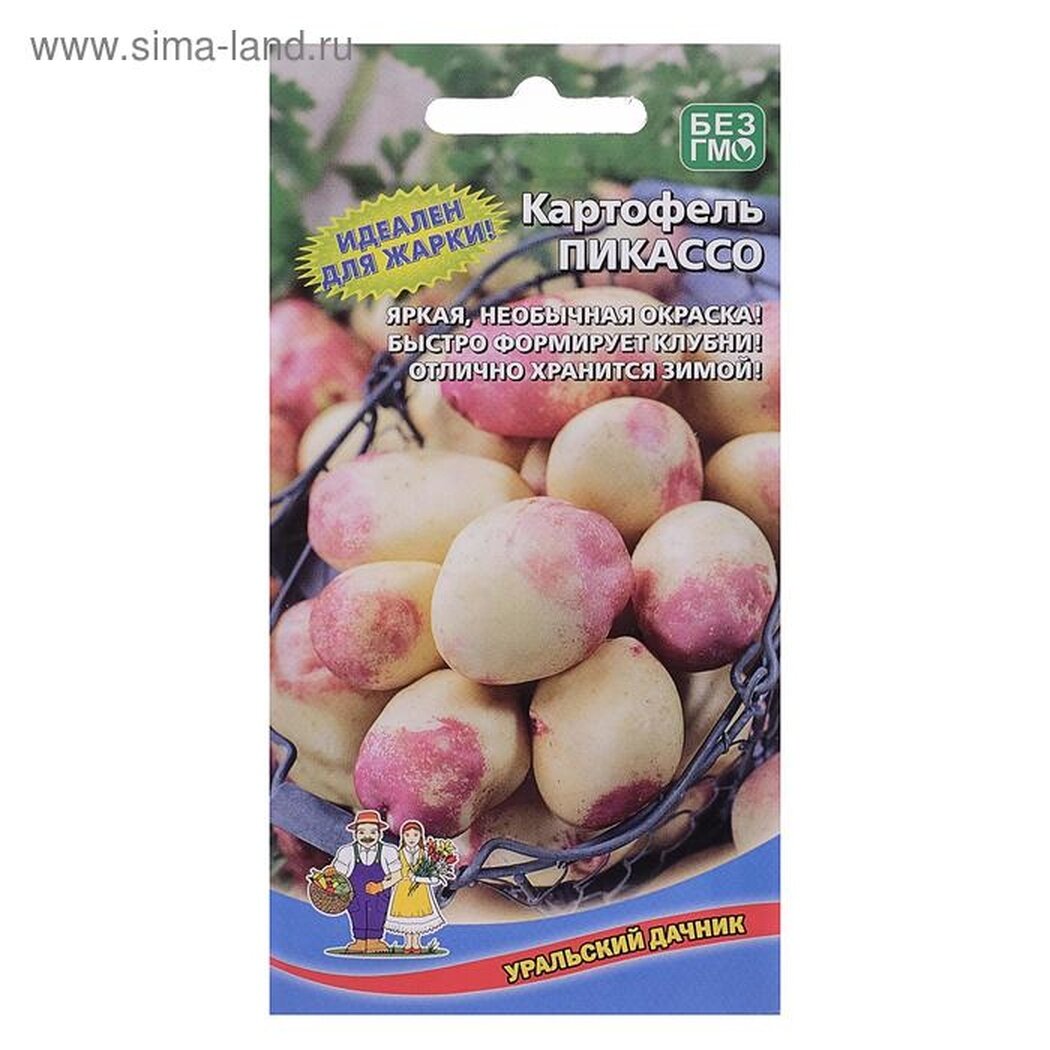 Семена Уральский Дачник Картофель "Пикассо", позднеспелый, 0.02 грамма
