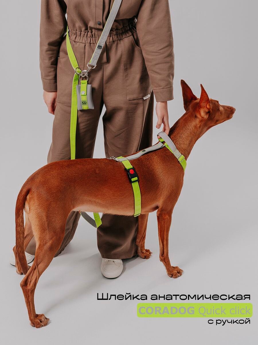 Шлейка с ручкой прогулочная анатомическая для средних и крупных пород собак, CORADOG Quick click, размер L, цвет салатовый, серый