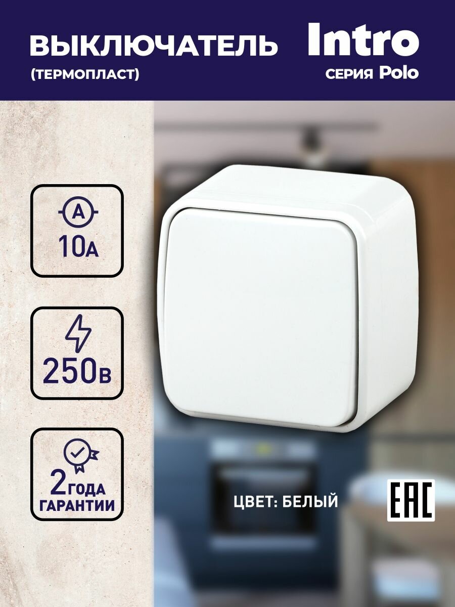Выключатель одноклавишный Intro 3-101-01 Polo 10А-250В белый
