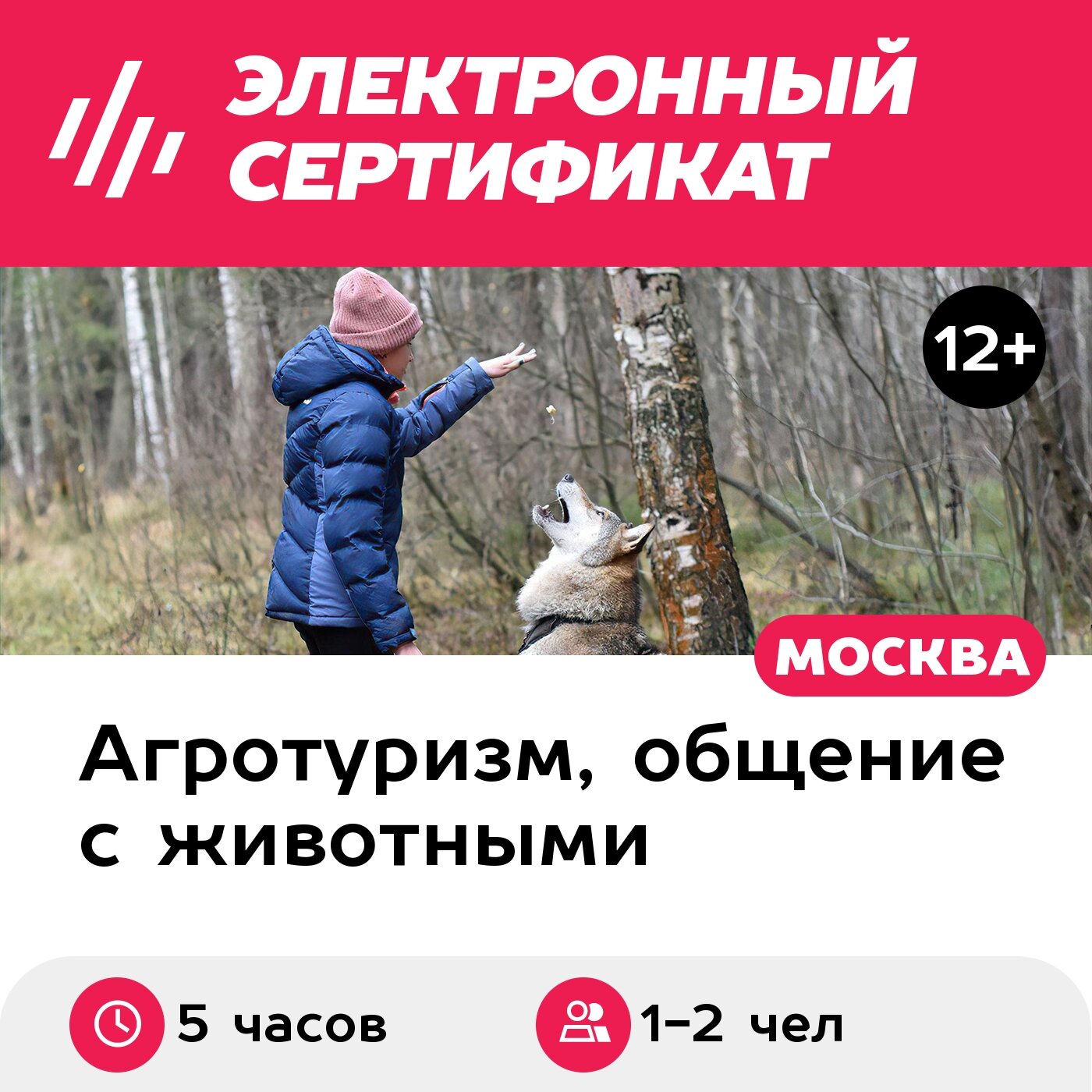 Подарочный сертификат Индивидуальная VIP-прогулка с волком, 1-2 чел. (5 часов) (Московская область)