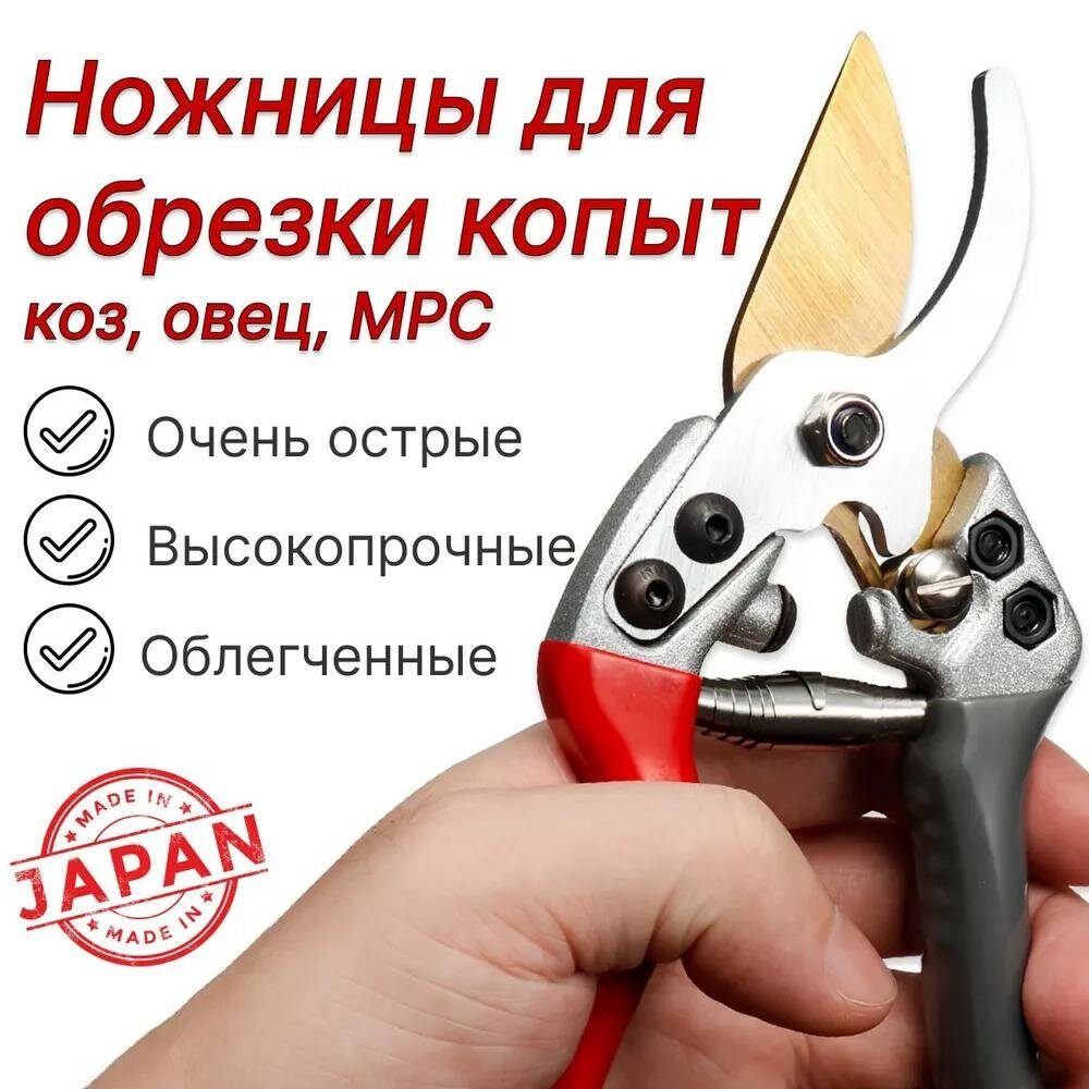 Scissors for Trimming Farm Animals Powerful Thick Branch Scissors v1 Gardening Pruning Picking Grafting Scissors, Size 195 mm, Product Code 1830942540, Country of Origin Japan, One Hoof Pruning Scissors in the box