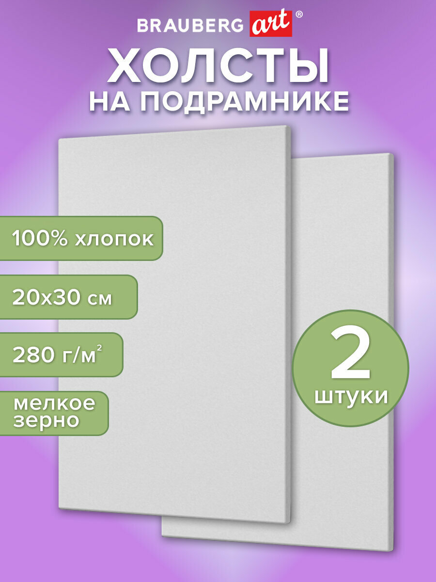 Холст для рисования на подрамнике 20х30см грунтованный набор 2 шт, 280 г/м2, 100% хлопок, мелкое зерно, Brauberg, 192671