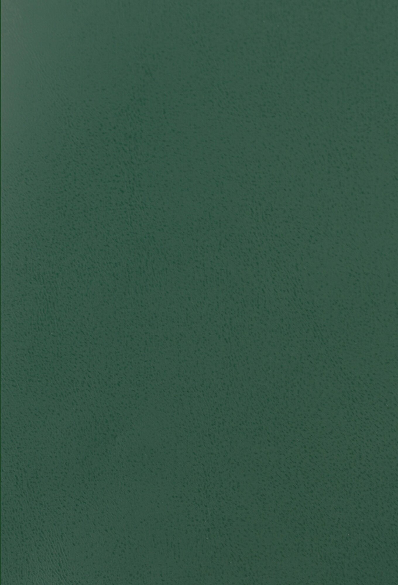 Тетрадь в клетку Listoff, "Зеленый бумвинил", А4, 96 листов