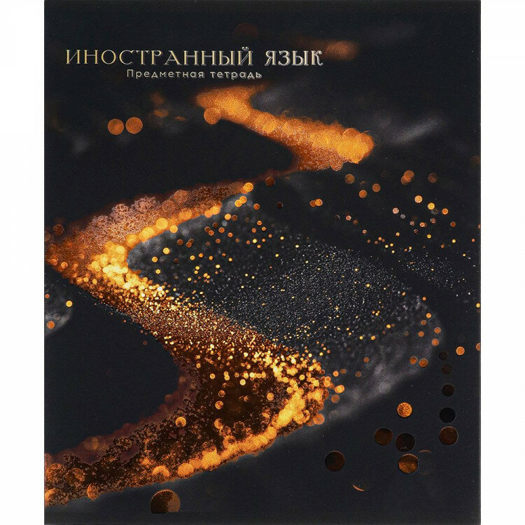 Тетрадь предметная 48 листов (Prof-Press) Black&Cold Иностранный язык холодная фольга софт-тач выборочный лак арт.48-2684. Количество в наборе 10 шт.