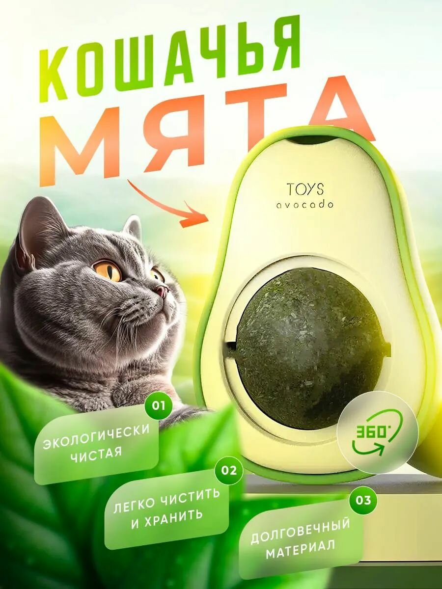 Кошачья мята. Шарик на стену