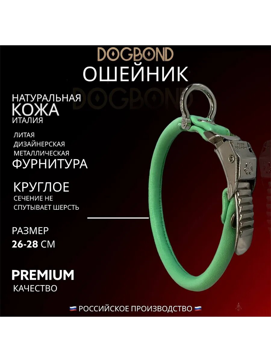 Ошейник Dogbond круглый для шпица