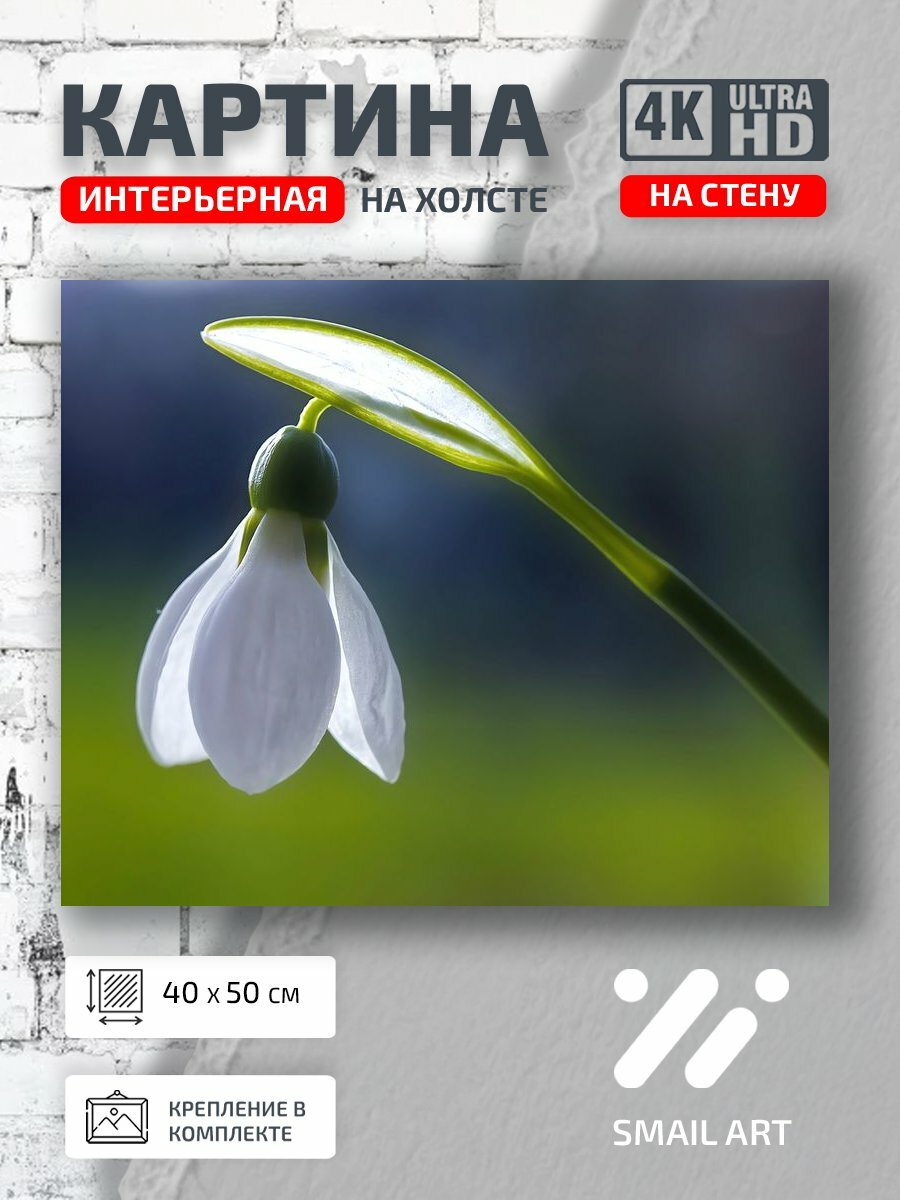 Картина на холсте интерьерная 40 на 50 на стену Лепестки Mood для спальни атмосфера декор