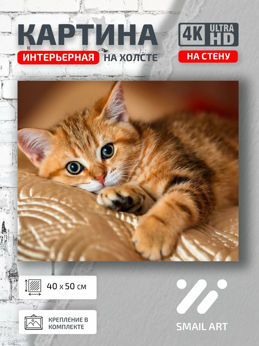 Картина на холсте интерьерная 40 на 50 на стену Лежит Animal для кафе animal style интерьер
