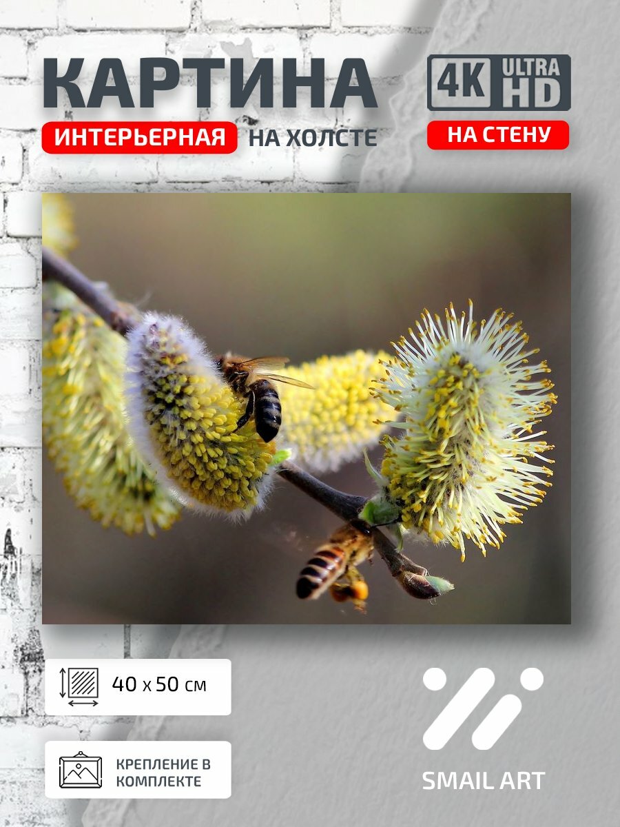 Картина на холсте интерьерная 40 на 50 на стену Опыление Mood для студии атмосфера интерьер
