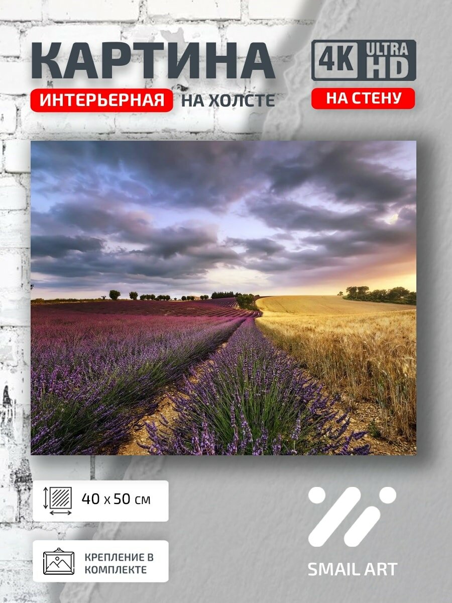 Картина на холсте интерьерная 40 на 50 на стену Природа поле для офиса пейзаж