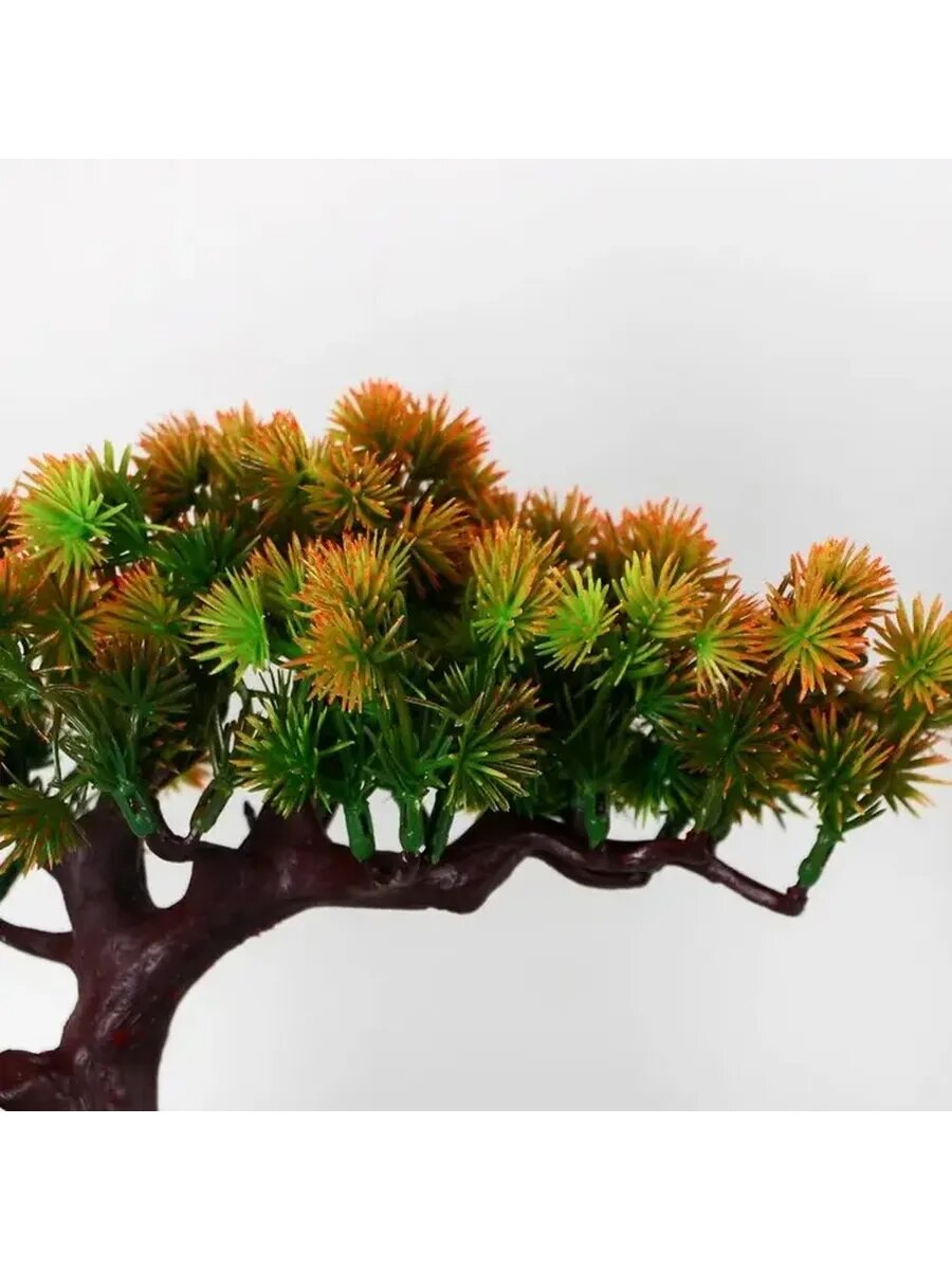 Элегантный хвойный бонсай в стильном горшке