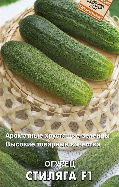 Коллекционные семена огурца F1 Стиляга