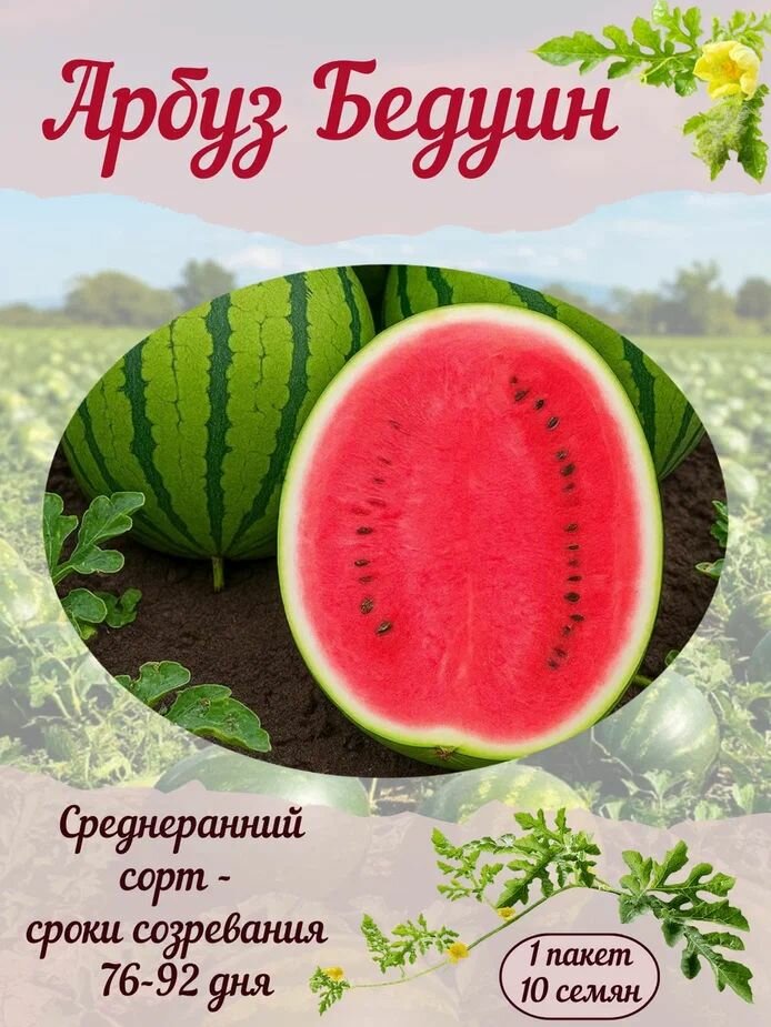 Арбуз Бедуин, семена, 10 шт, 15 гр.