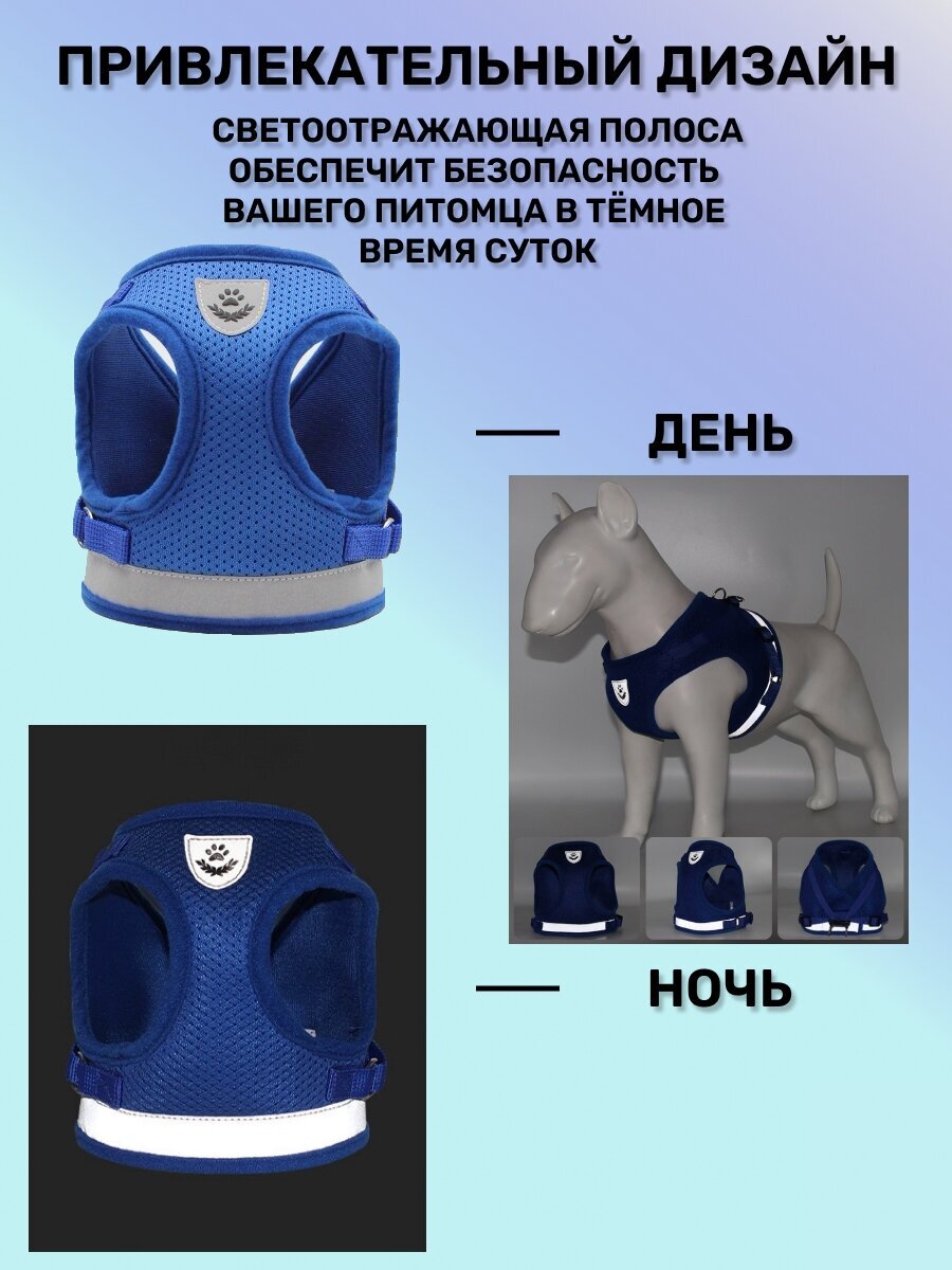 Шлейка с поводком для собак мелких и средних пород / Шлейка для кошек, L-Синяя