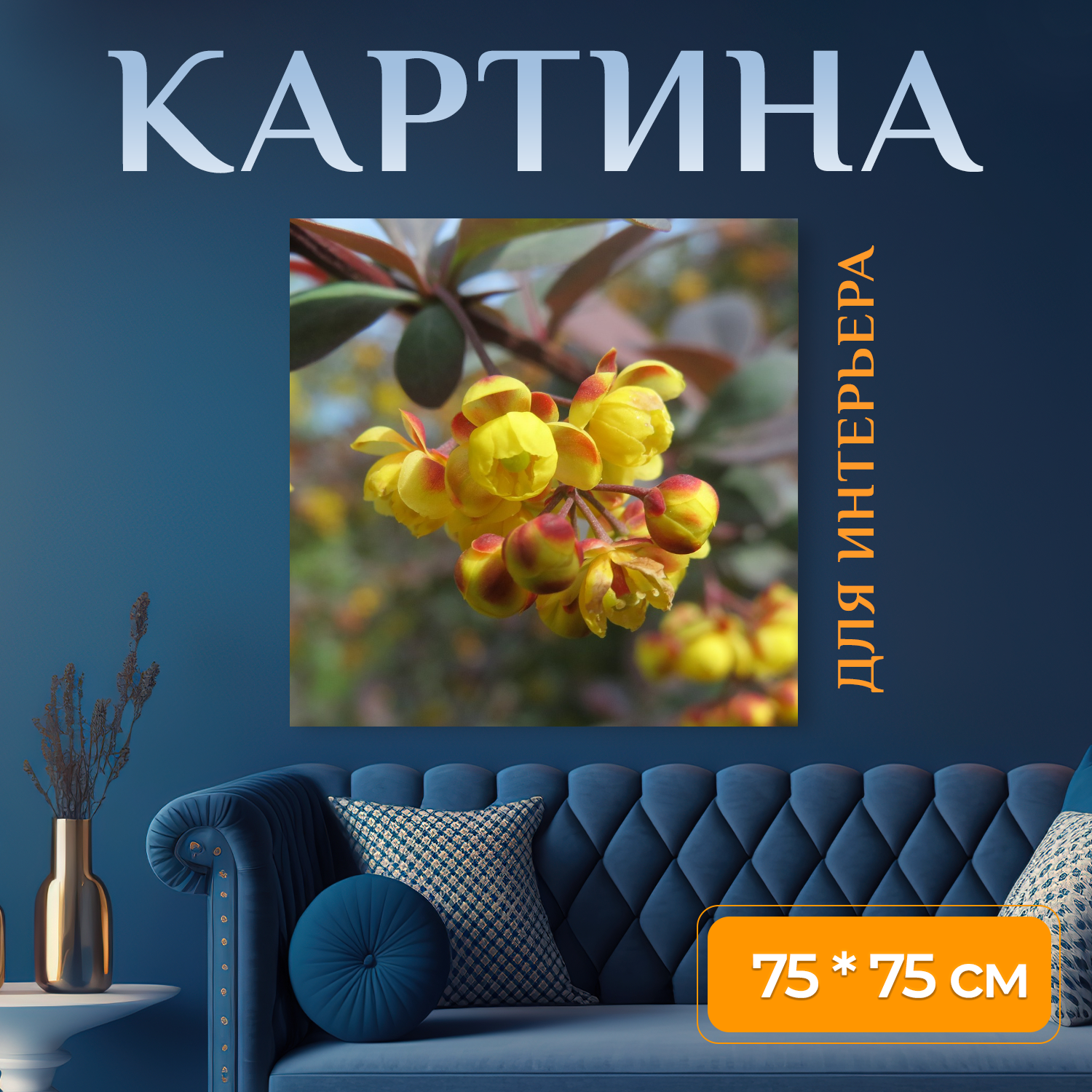 Картина на холсте "Берберис, барбарис, кустарник" на подрамнике 75х75 см. для интерьера