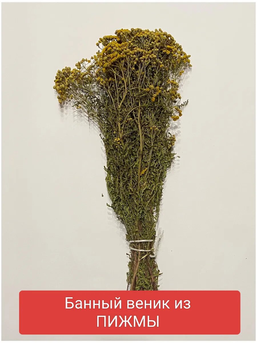 Веник для бани из Пижмы
