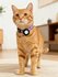 RFID-ошейник для кошек