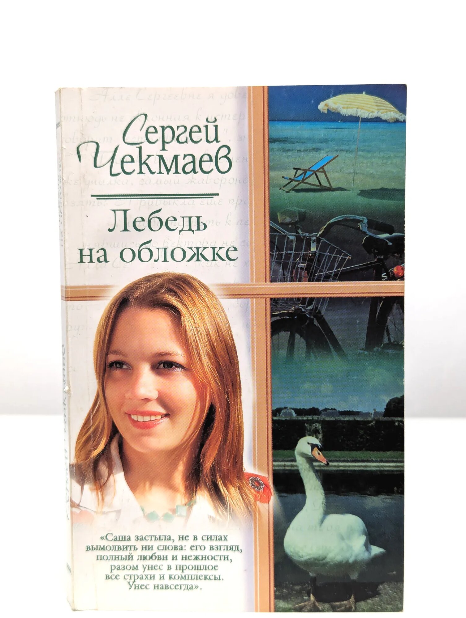 Лебедь на обложке Чекмаев Сергей Владимирович 2006
