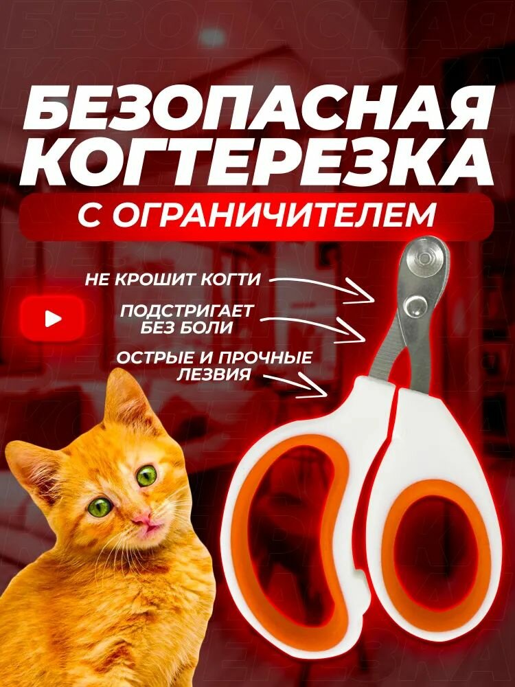 Когтерезка Yangjiang D&Z, с ограничителем и нержавеющая сталь, для кошек и грызунов