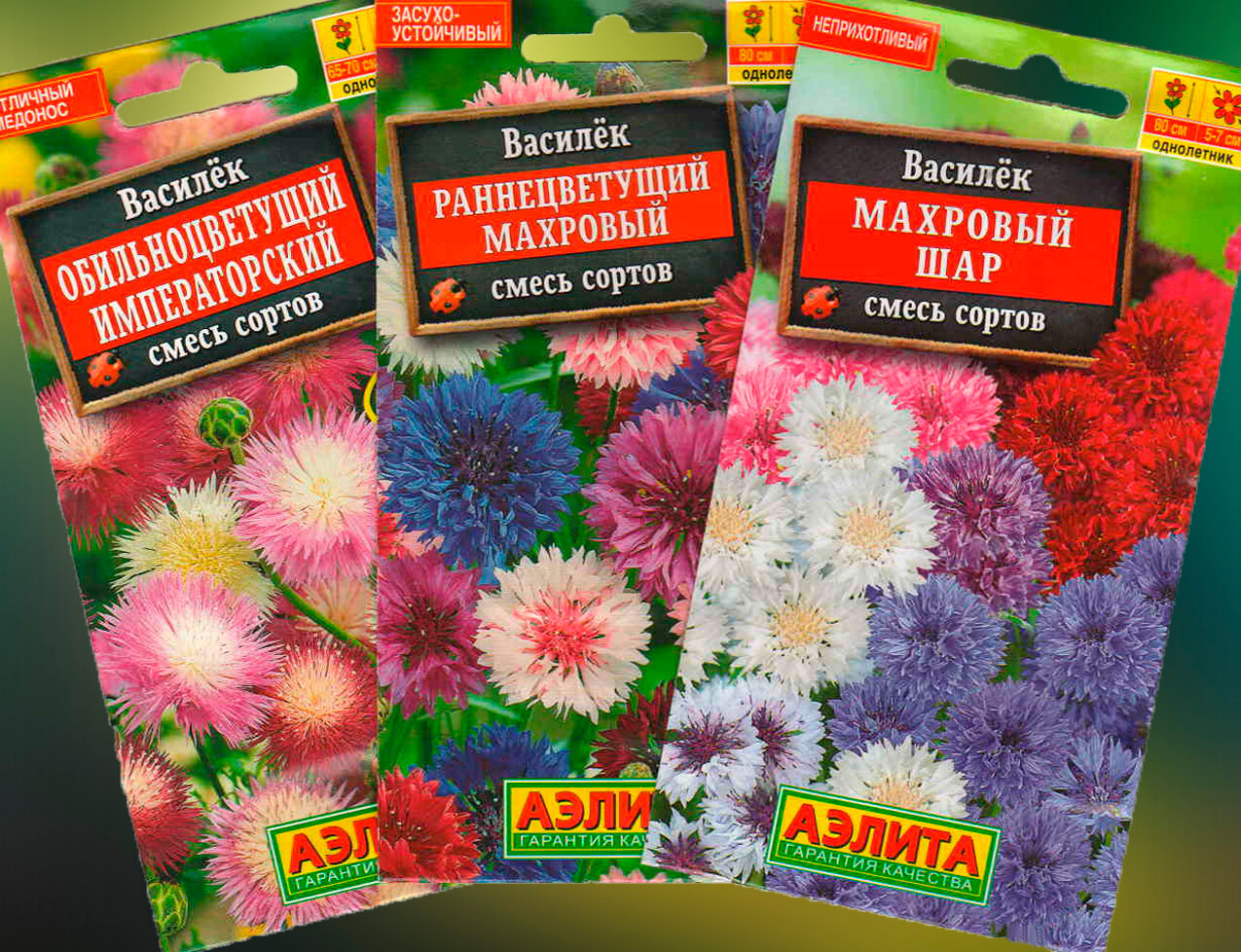 Набор семян василька "Императорский", махровый "Раннецветущий", "Махровый шар", 3 шт.