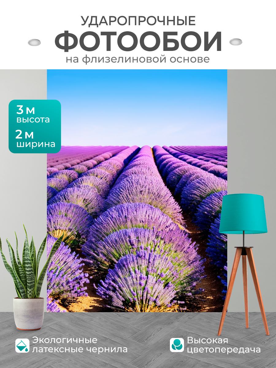 Фотообои моющиеся ударопрочные "Увлекательный вид на бескрайние поля лаванды, покрытые градиентом от светло-фиолетового до насыщенного пурпурного." 200x300 см. флизелиновые на стену