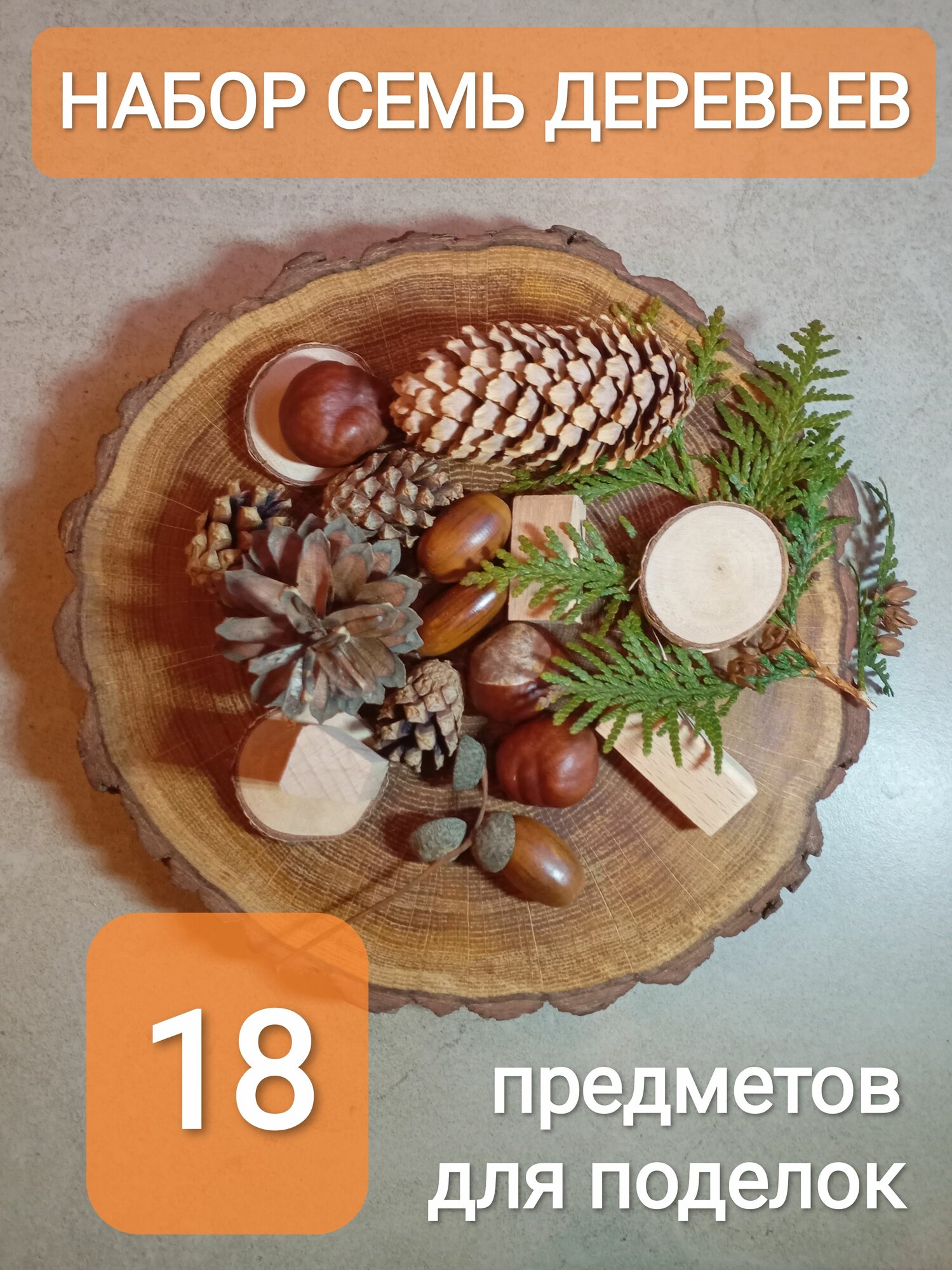 Набор для творчества "7 деревьев" натуральные материалы 18 предметов, для поделки в детский сад