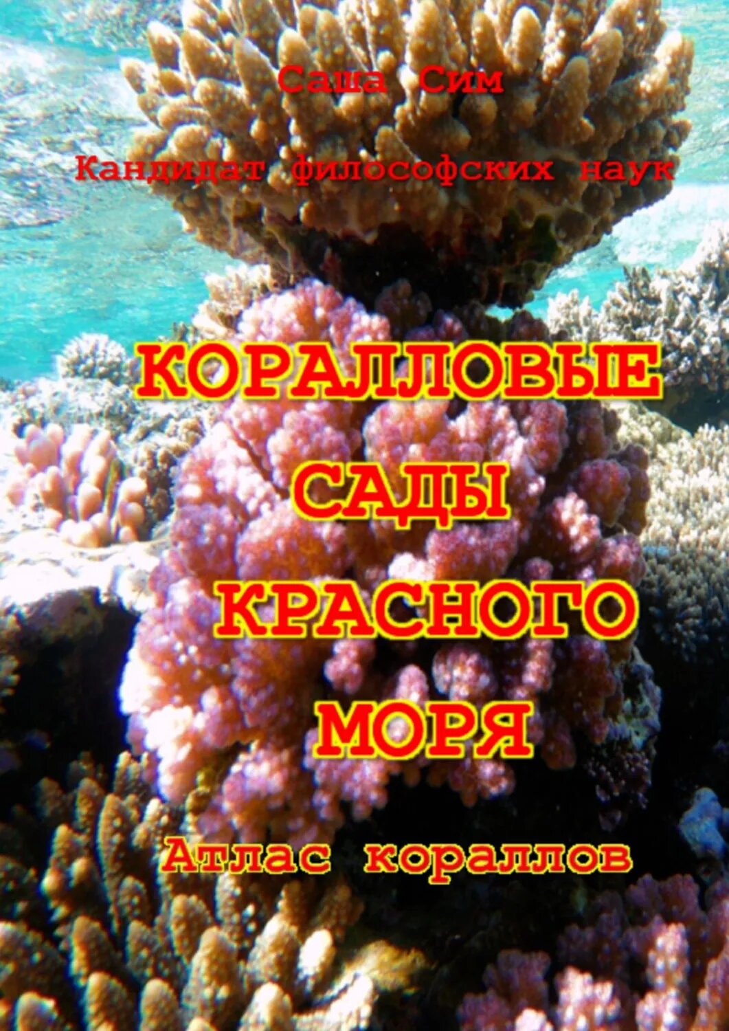 Коралловые сады Красного моря. Атлас кораллов [Цифровая книга]