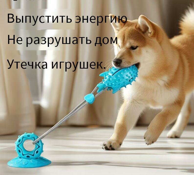 Мяч с присоской и раздатчиком лакомств для собак: Для перетягивания, жевания, от скуки, для щенков и мелких пород