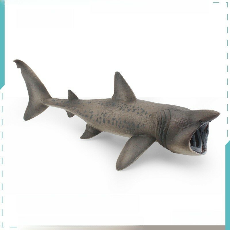 Marine life shark model for kids learning toy pvc collectible display, gray
