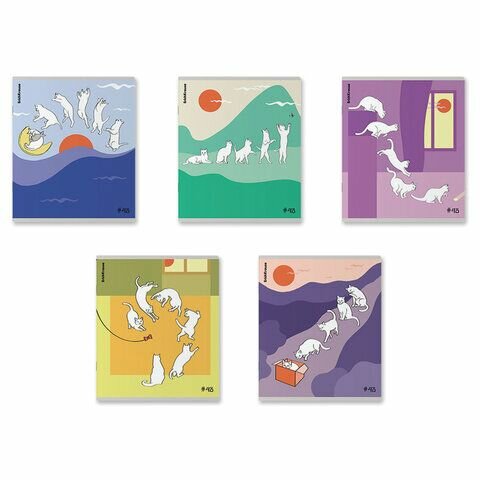 15 шт. Тетрадь обложка пластик, А5, 48 л, скоба, клетка, ERICH KRAUSE, "Cat Day" (микс в спайке), 54159