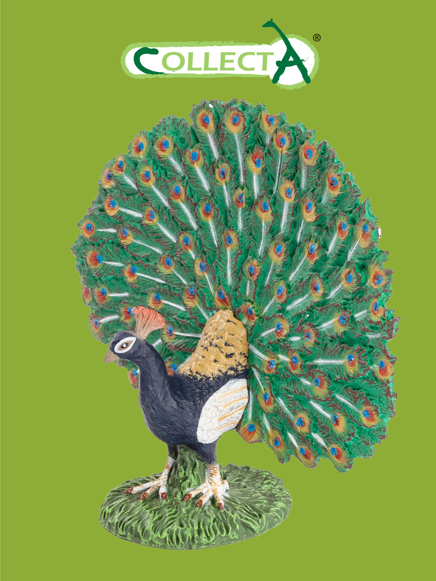 Фигурка птицы Collecta "Павлин" коллекционная, высота 9 см, 88209b
